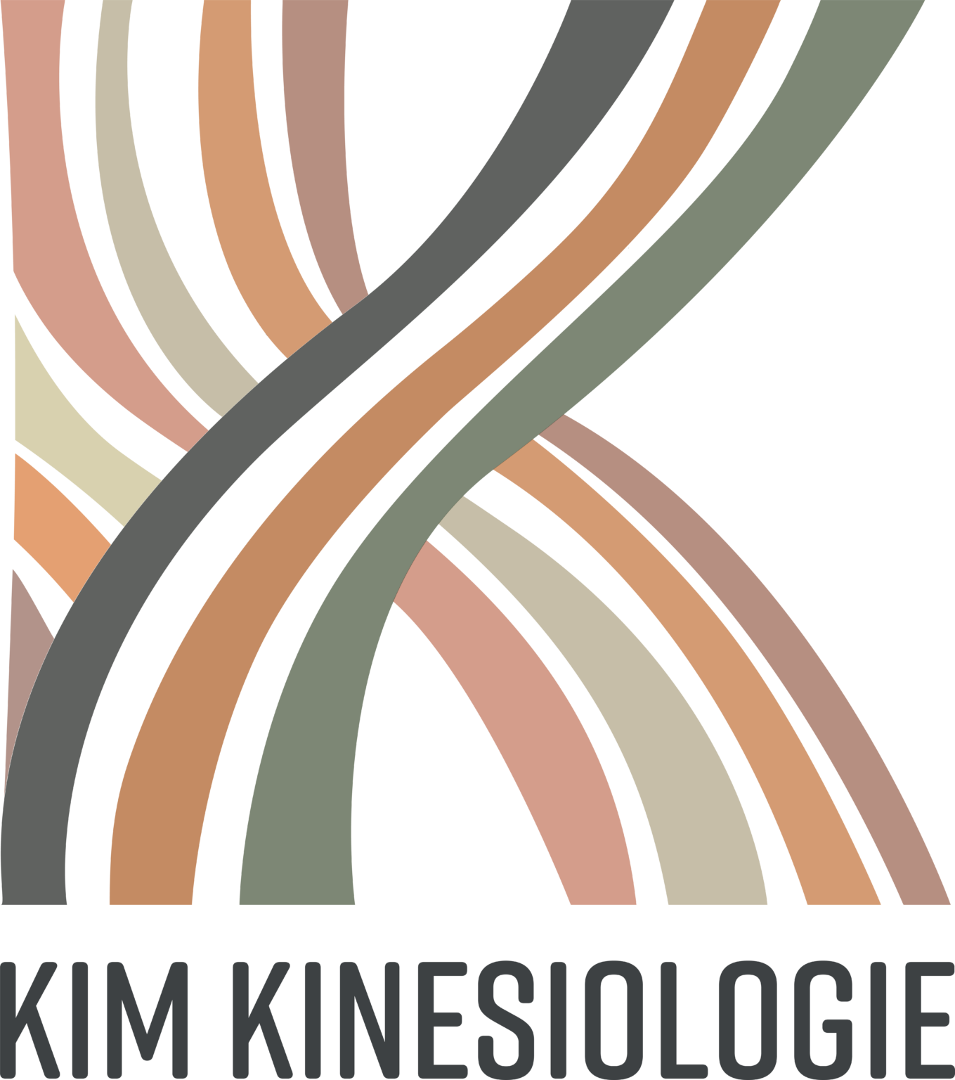 De psoas spier - Kim Kinesiologie